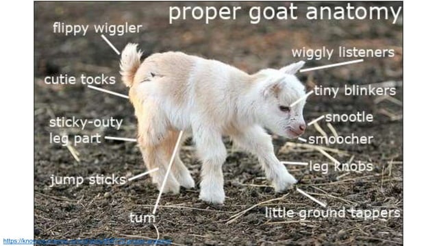 Linked Open Data for Archives | PPT