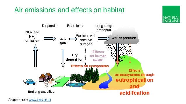 Nitrogen deposition: exploring strategic approaches from policy to mo…