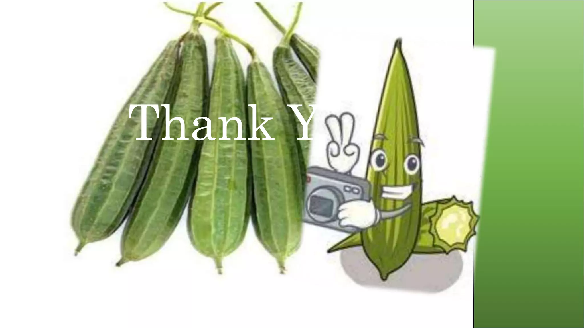 2018-182 Zulpe Durva - Ridge gourd PPT HORT- 4012.pptx