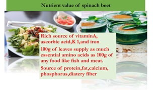 Spinach PPT HORT 4012.ppsx