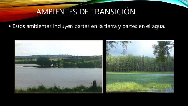 2018-6A-Ambientes de transición