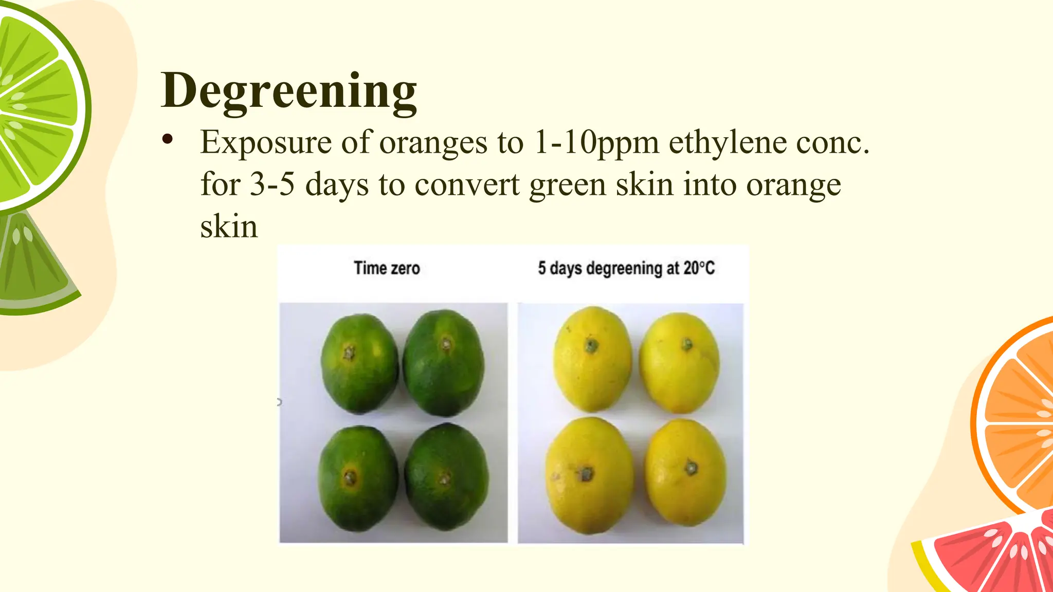 Harvest and Post Harvest Handling of Citrus.pptx