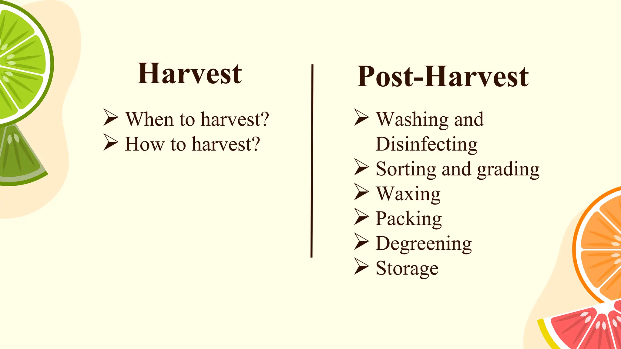 Harvest and Post Harvest Handling of Citrus.pptx