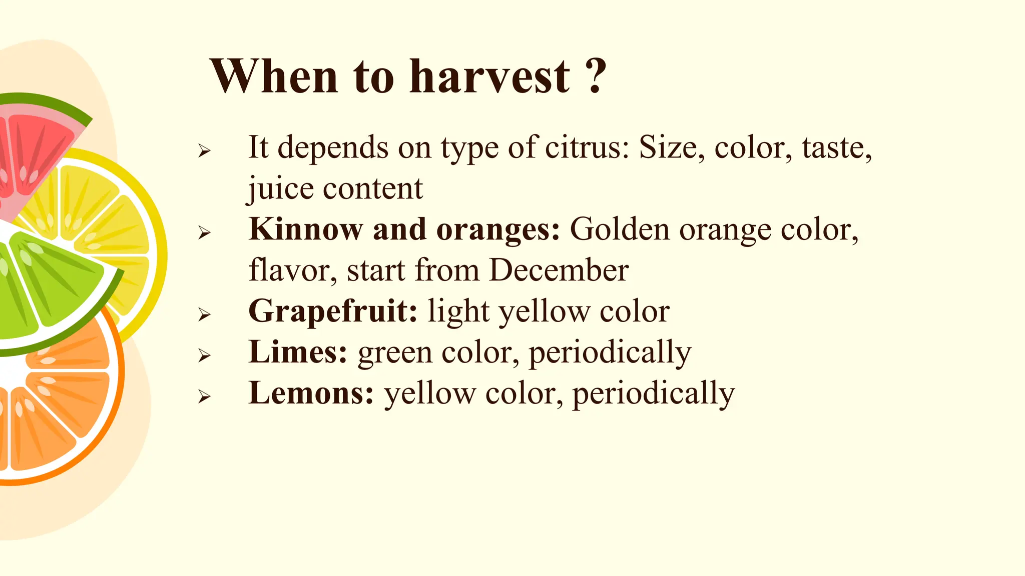 Harvest and Post Harvest Handling of Citrus.pptx