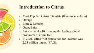 Harvest and Post Harvest Handling of Citrus.pptx