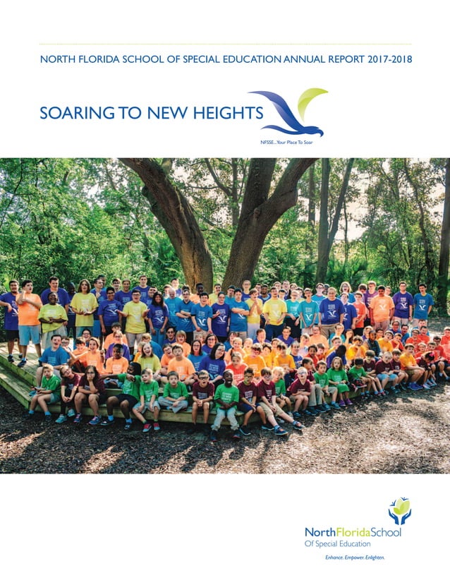 Annual Report 2018 NFSSE | PDF