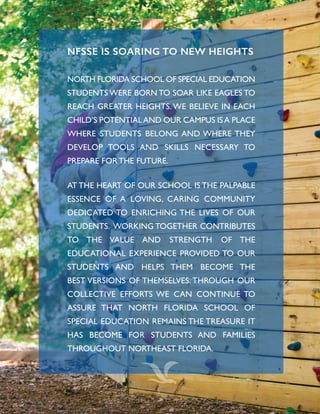 Annual Report 2018 NFSSE | PDF