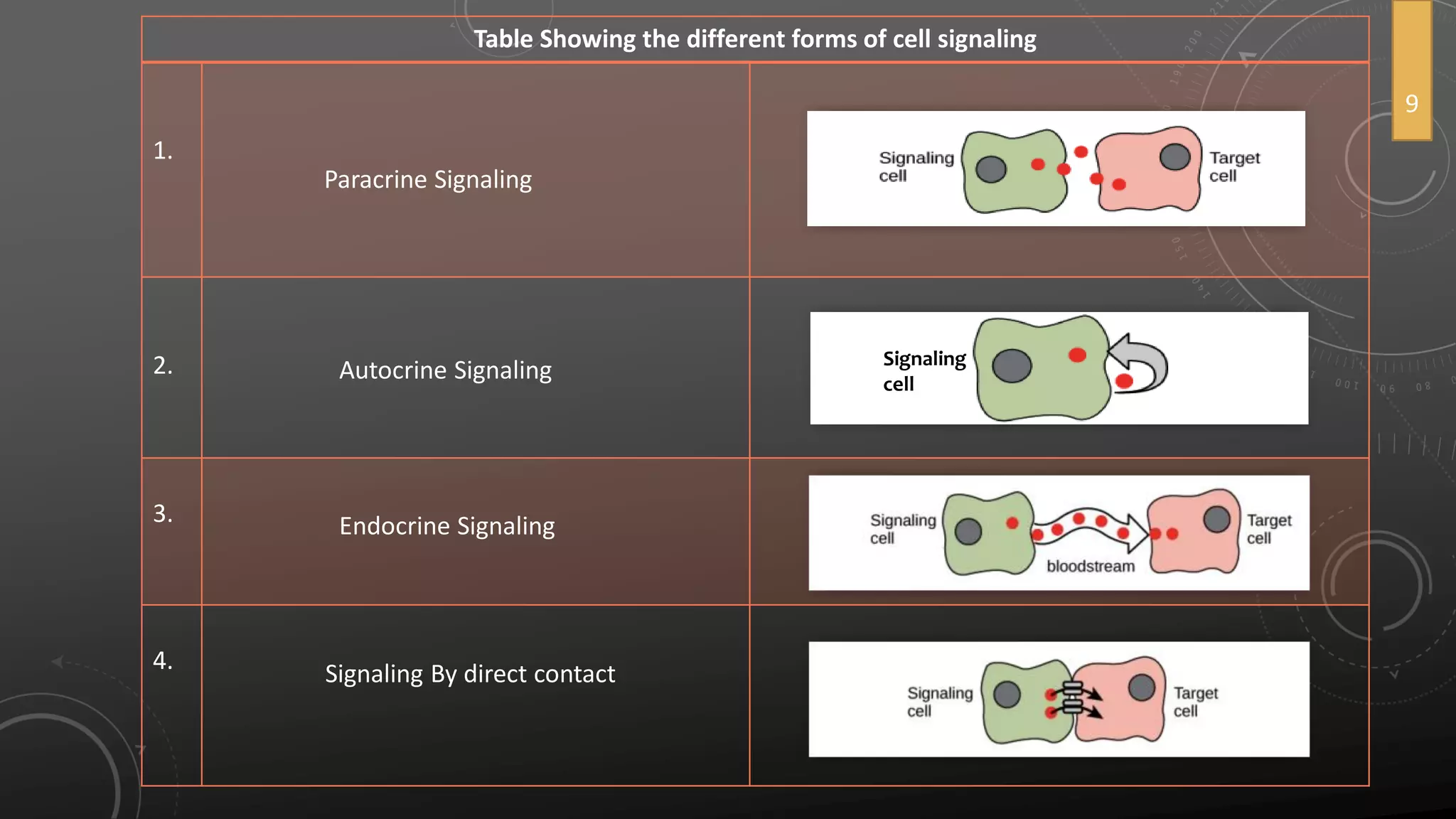 Hormones & Cell Signaling Agents | PDF