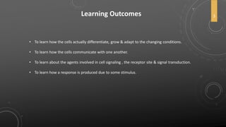 Hormones & Cell Signaling Agents | PPT