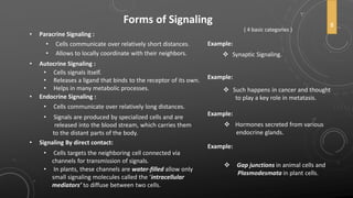 Hormones & Cell Signaling Agents | PDF