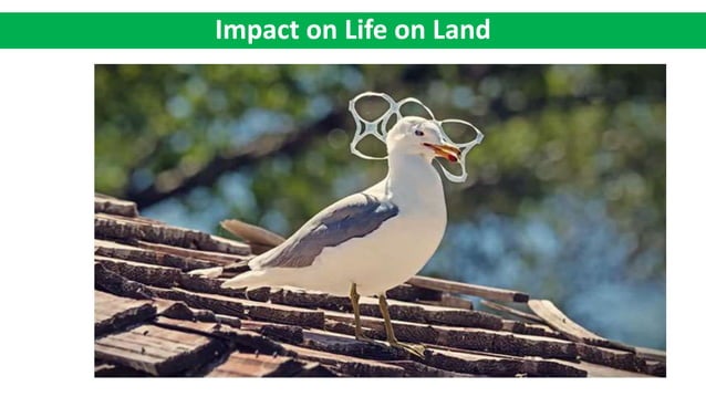 2018: Effects of Plastic Pollution on Land and Water | PPT