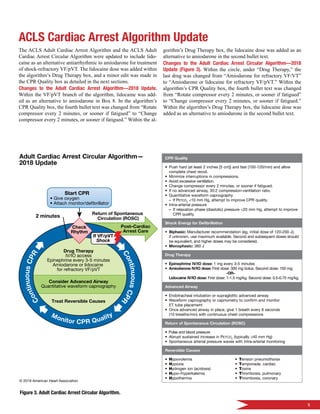 Actualización AHA 2018 de ACLS y PALS (Highlights) | PDF | First Aid ...