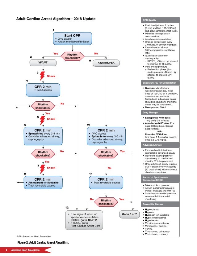 Acls Manual 2021 Pdf Free Acls Manual 2021 Pdf Free