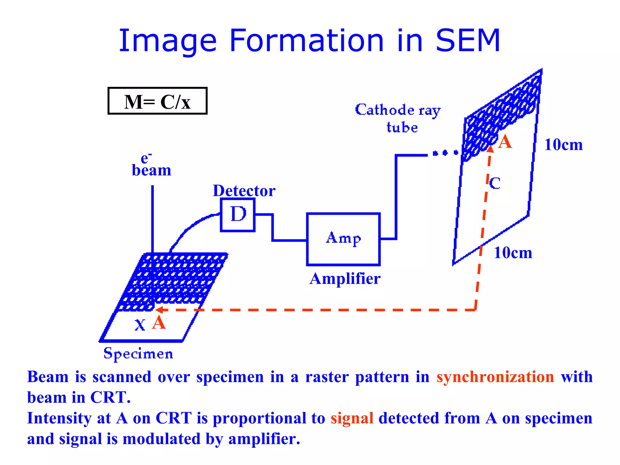 2018 HM-scanning electron microscope | PPT
