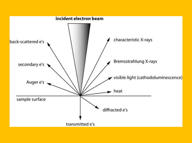 2018 HM-scanning electron microscope | PPT | Chemistry | Science