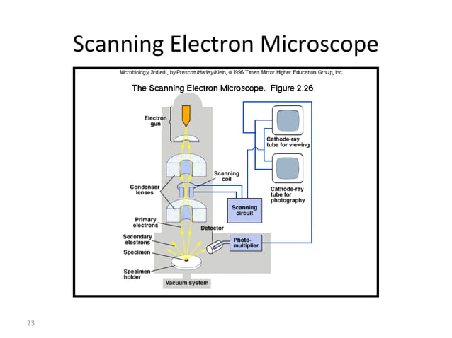 2018 HM-scanning electron microscope | PPT | Chemistry | Science