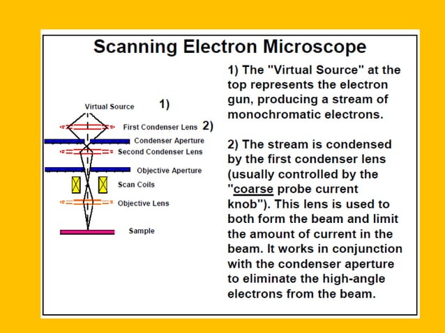 2018 HM-scanning electron microscope | PPT | Chemistry | Science