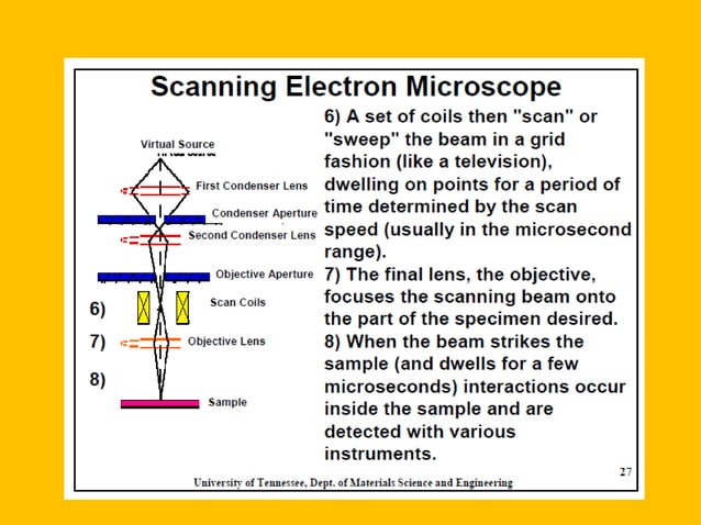 2018 HM-scanning electron microscope | PPT | Chemistry | Science