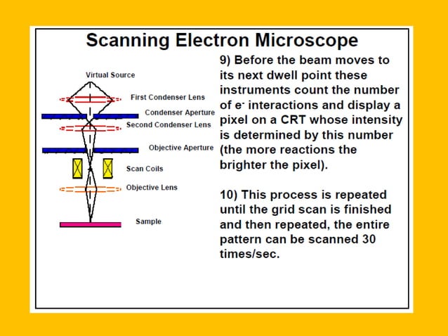 2018 HM-scanning electron microscope | PPT | Chemistry | Science