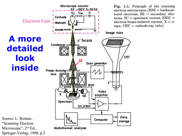 2018 HM-scanning electron microscope | PPT | Chemistry | Science