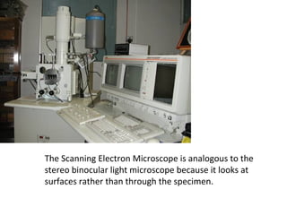 2018 HM-scanning electron microscope | PPT