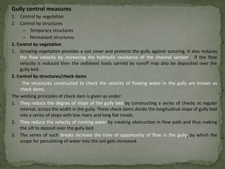 Presentation processing of food engineering | PPTX