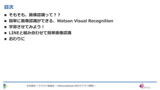 無料で使える画像認識、Watson Visual Recognitionで遊んでみよう | PPT