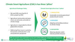WBCSD CSA Workshop - Introductions and Scene-setting | PPT