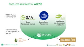 WBCSD CSA Workshop - Introductions and Scene-setting | PPT