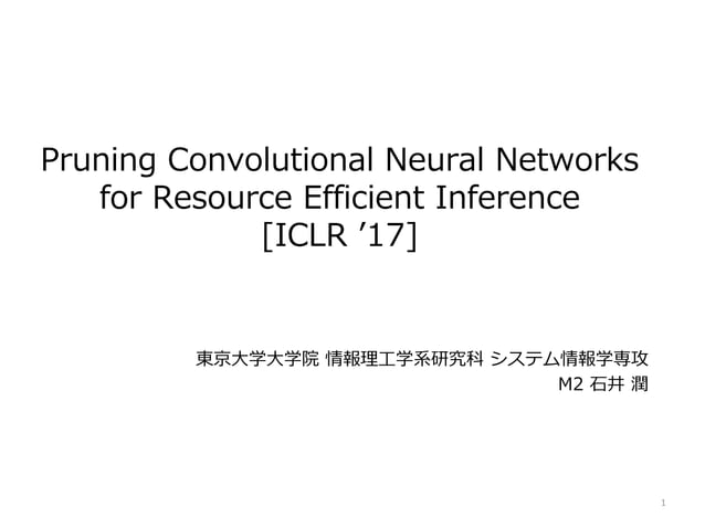 Dl Hacks Pruning Convolutional Neural Networks For Resource Efficient Inference Ppt 9767