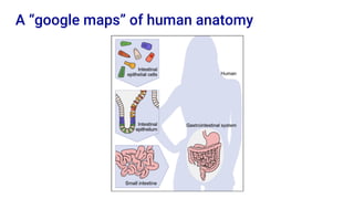 The Human Cell Atlas Data Coordination Platform | PDF