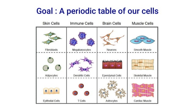 The Human Cell Atlas Data Coordination Platform | PPT