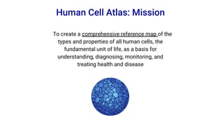 The Human Cell Atlas Data Coordination Platform | PDF