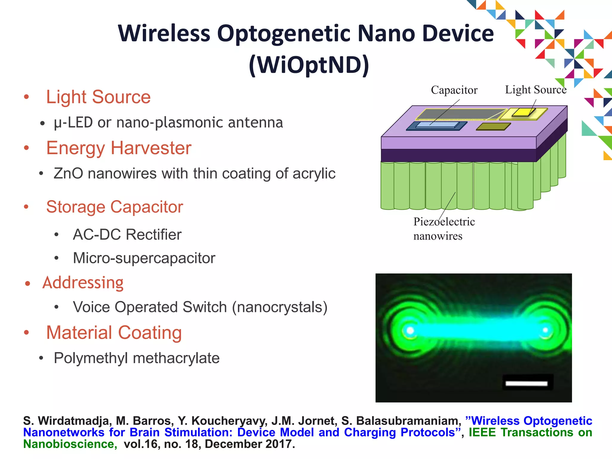 TSSB Brain Initiative - Overview of Nano and Molecular Communications ...