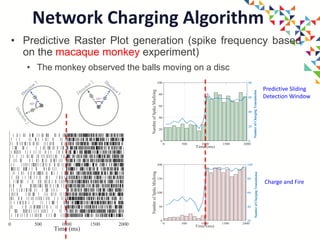 TSSB Brain Initiative - Overview of Nano and Molecular Communications ...