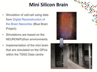 TSSB Brain Initiative - Overview of Nano and Molecular Communications ...