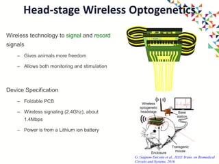 TSSB Brain Initiative - Overview of Nano and Molecular Communications ...