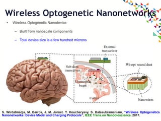 TSSB Brain Initiative - Overview of Nano and Molecular Communications ...