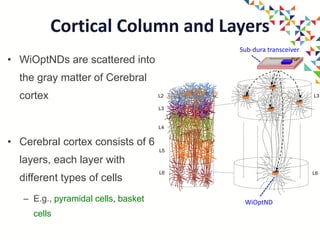 TSSB Brain Initiative - Overview of Nano and Molecular Communications ...