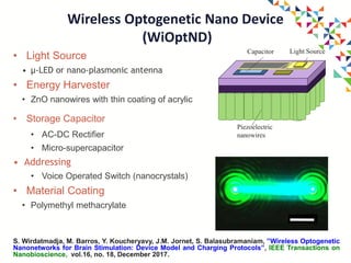 TSSB Brain Initiative - Overview of Nano and Molecular Communications ...