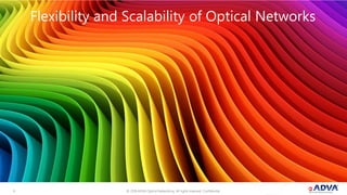 Next Gen Optical Network: Scalability, Flexibility and Security | PPT