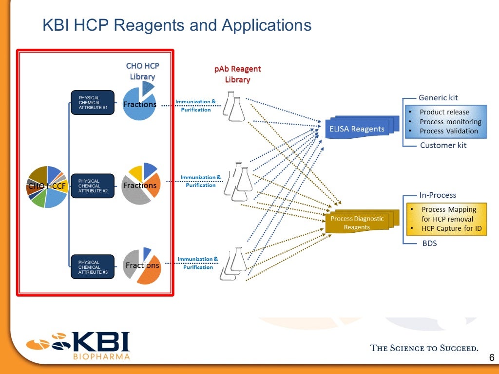 Presentation | Host Cell Protein Analysis by Mass Spectrometry