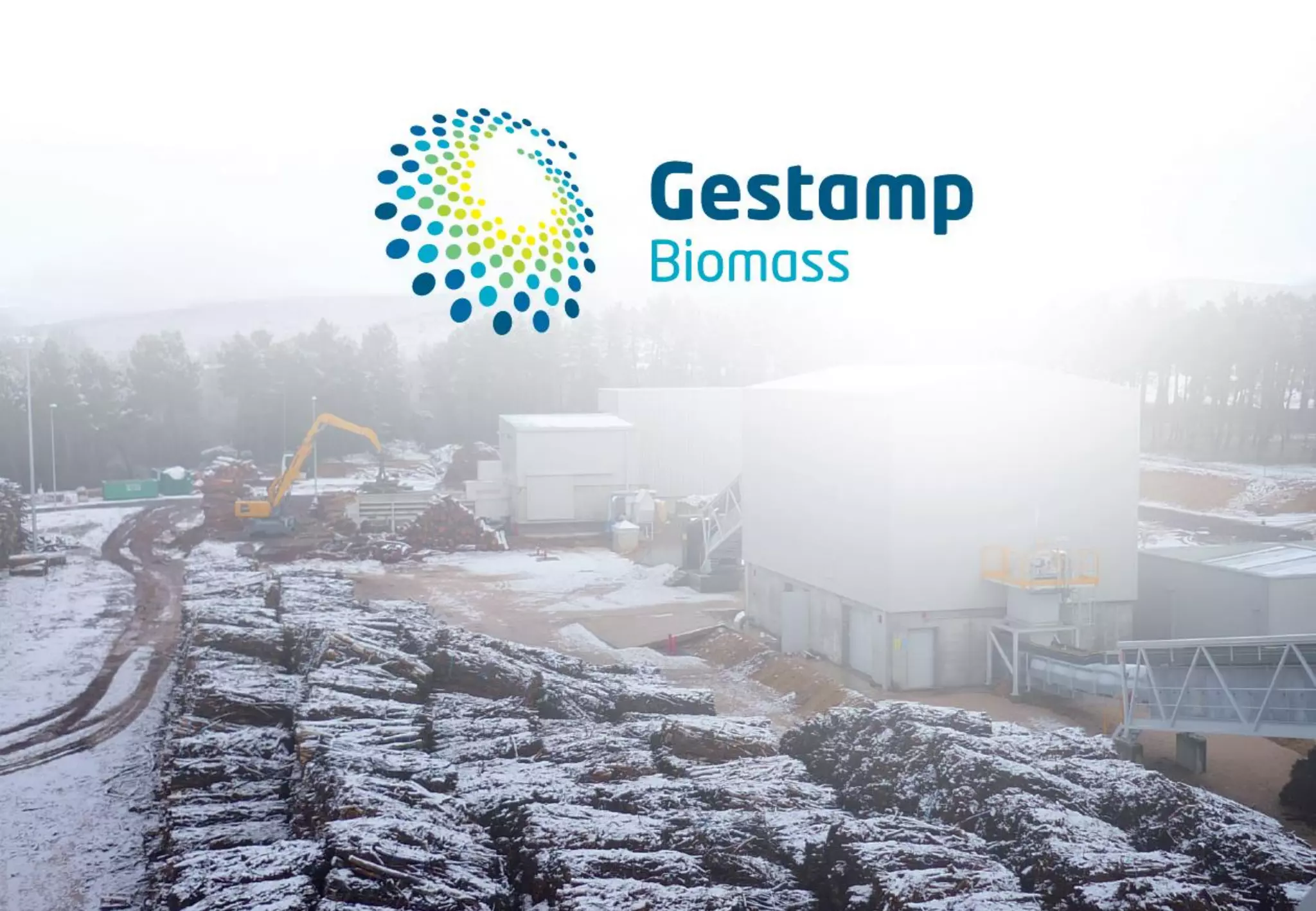 Gestamp Biomass August 2018 | PPT