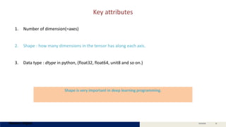 Tensor Explained | PPTX