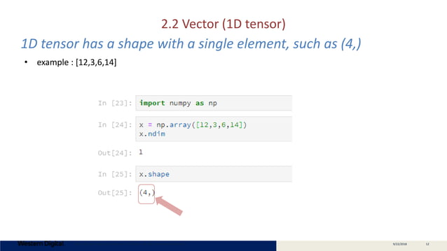 Tensor Explained | PPTX | 3-D Graphics | Computer Software and Applications