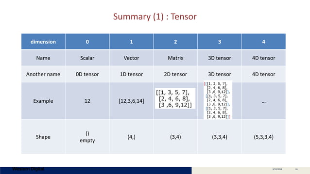 Tensor Explained | PPTX | 3-D Graphics | Computer Software and Applications