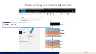 Tensor Explained | PPTX