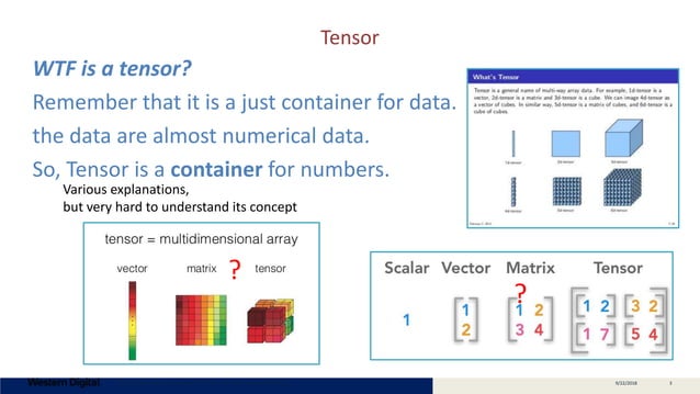 Tensor Explained | PPTX | 3-D Graphics | Computer Software and Applications