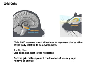 Jeff Hawkins Human Brain Project Summit Keynote: "Location, Location, Location - A Framework for ...