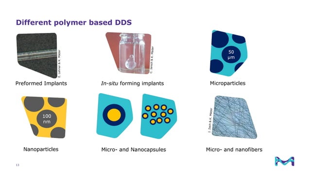 Polymer based drug delivery systems for parenteral controlled release ...